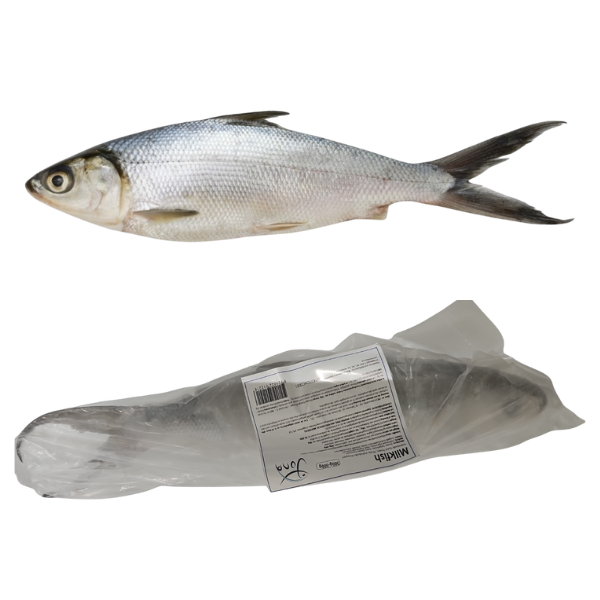 Milkfish (Bangus) – 300–500g - Almere Pinoy Store