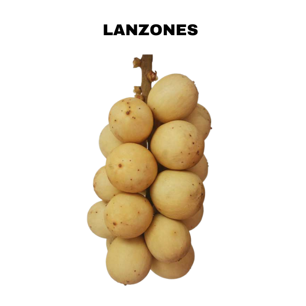 Lanzones 500g - Almere Pinoy Store