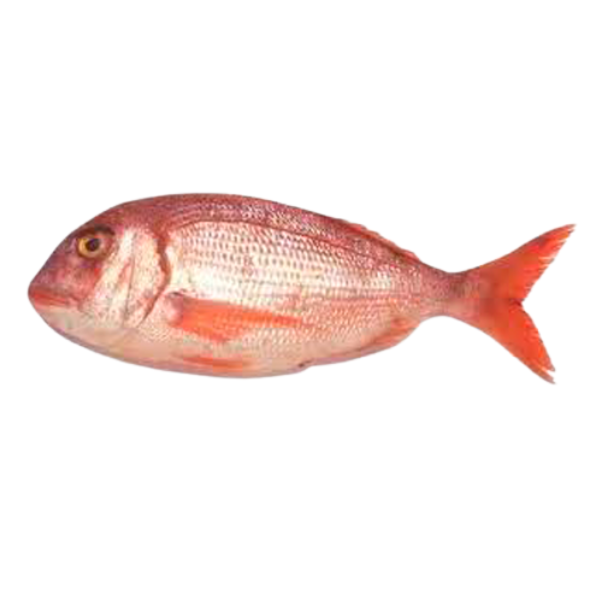 Besugo / Sea bream – 1kg 3-4pc (Frozen) - Almere Pinoy Store