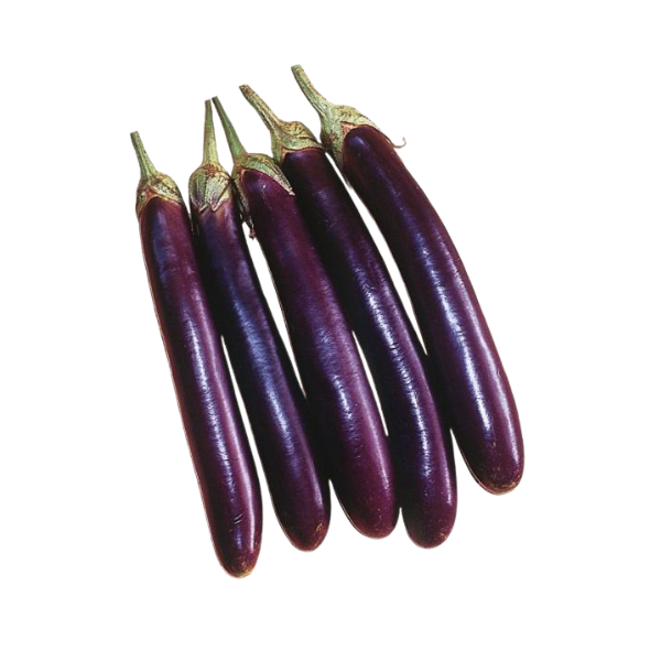 Fresh Long Purple Eggplant (Talong) 1000g - Almere Pinoy Store